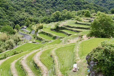 田舎暮らしのメリット・デメリット 小豆島ナースサポートセンター
