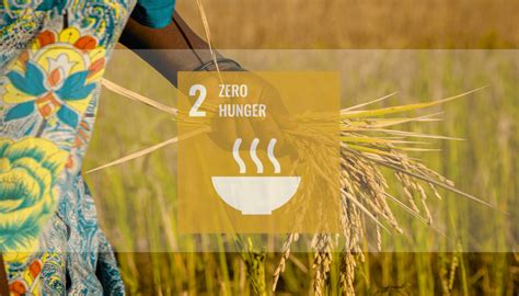 Surprising Ways How Dynacrop Plays Its Part In Achieving Sdgs Dynacrop