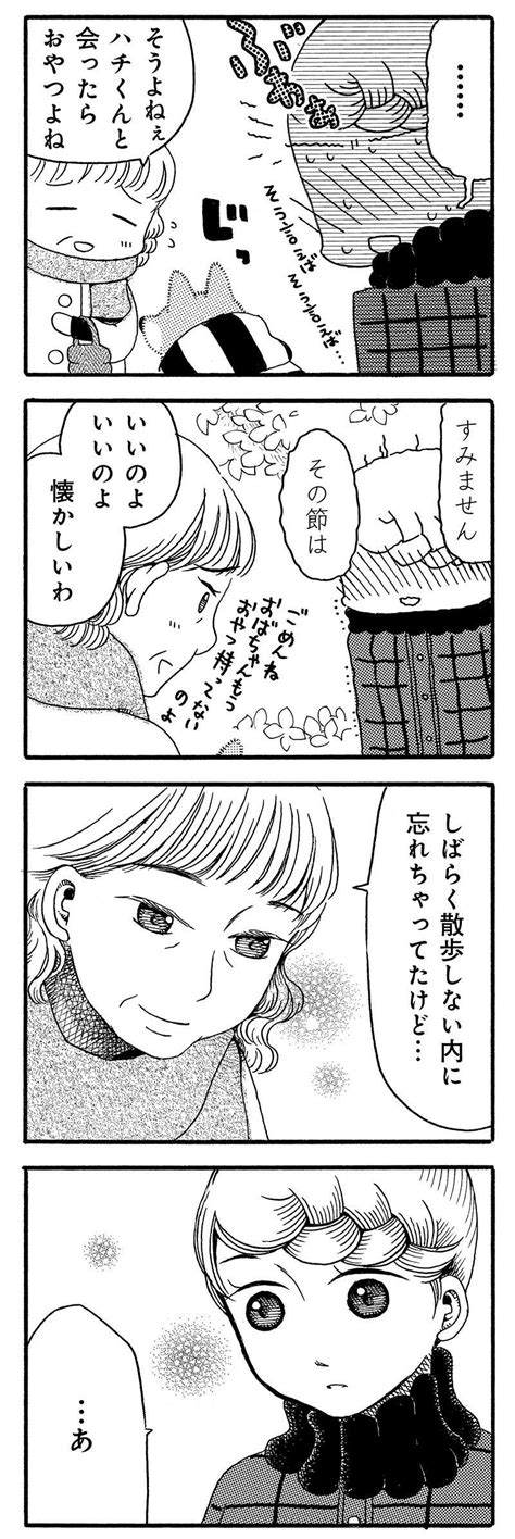 愛犬が久々に会った散歩仲間。シニアになっても忘れない記憶／じじ柴ハチさんは、今日も生きています。 毎日が発見ネット