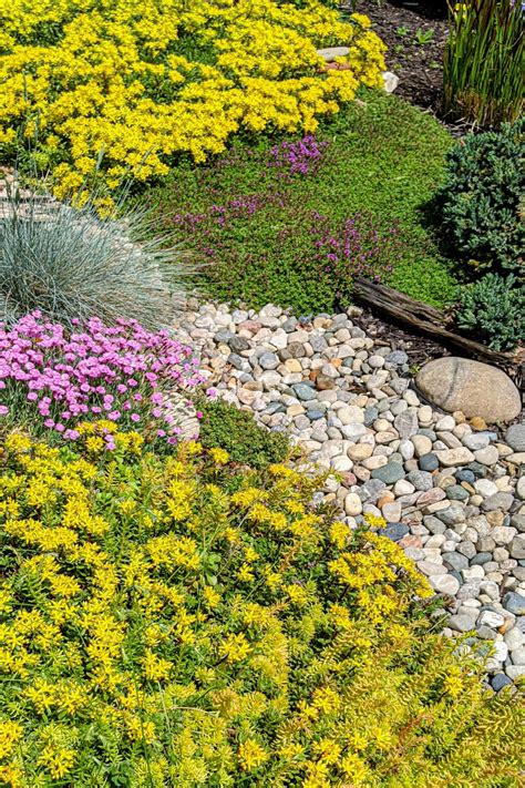 The Ultimate Guide To Drought Tolerant Landscaping