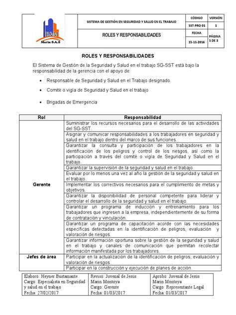 Sst Pro 01 Roles Y Responsabilidades Pdf Business