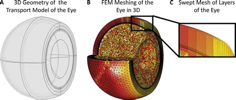 Finite Element Model Meshing Of The Model Geometry A 3d Geometry Of