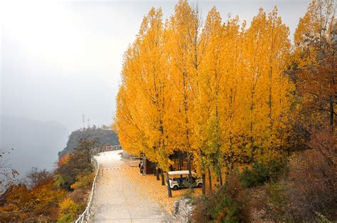 央视栏目《第一时间》播出太行大峡谷漫山红叶景观 太行大峡谷 林州太行大峡谷 河南太行山大峡谷
