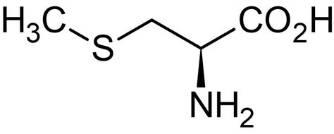 S Methyl L Cysteine CAS 1187 84 4 Ab145174 Abcam
