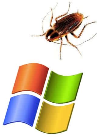Microsoft Windows Bug The Internet Patrol