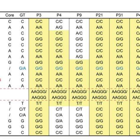 FIGURE Single Nucleotide Variant SNV Based Haplotype Analysis Of