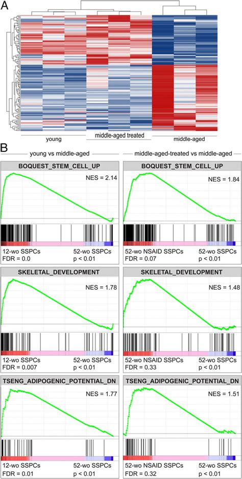 Rna Seq Analysis Reveals A Shift Toward Increased Stemness And