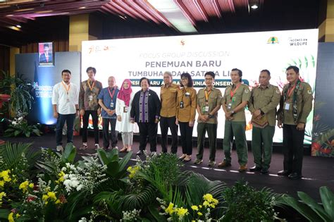 Penemuan Spesies Baru Asa Baru Upaya Konservasi Keanekaragaman Hayati