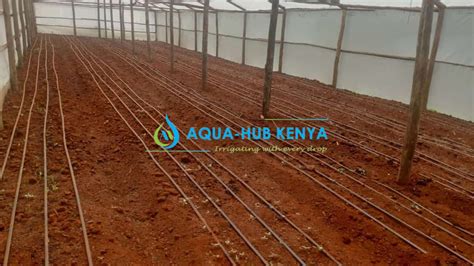 Greenhouse Drip Kits For Tomatoes Aqua Hub Kenya 0790719020