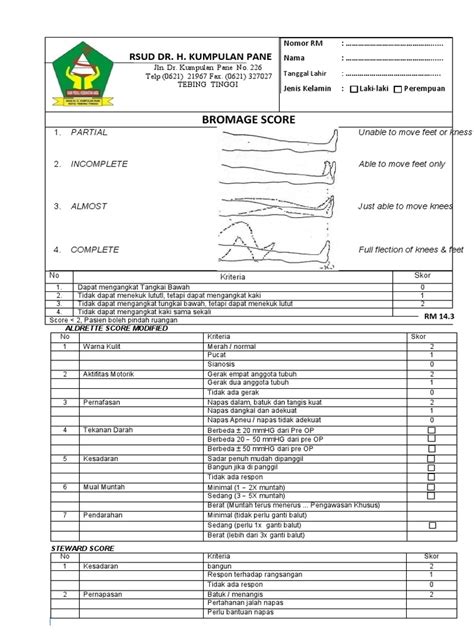 Bromage Score Pdf