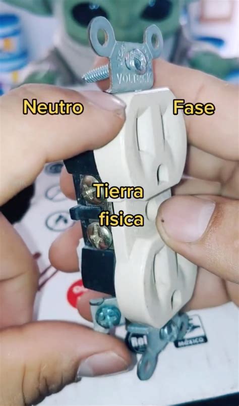 Fase Neutro Y Tierra Como Reconocer Cómo Reconocer Fase Neutro Y