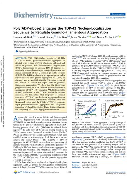 Solution Poly Adp Ribose Engages The Tdp 43 Nuclear Localization