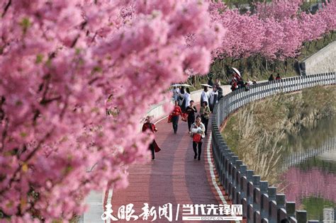 【2021年贵州林草工作成效】闯出“四个率先”！开辟绿色新路径康养林业森林