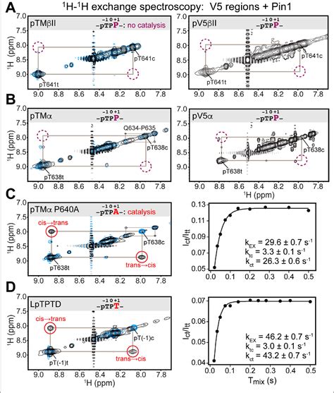 Figure 1 From A Novel Bivalent Interaction Mode Underlies A Non