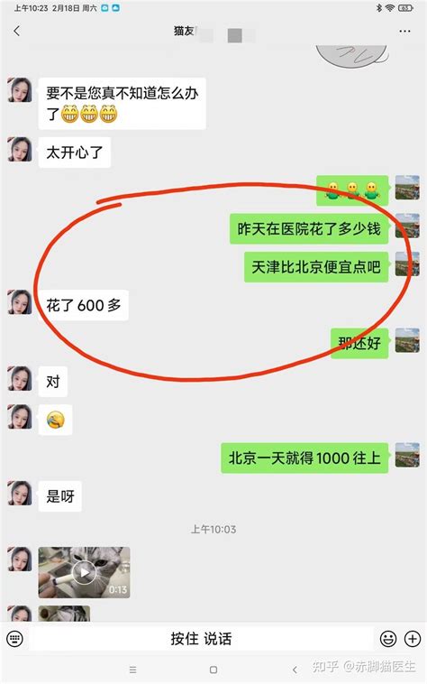 一例猫瘟的治疗 知乎