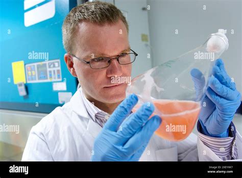 Growth Monitoring Of Carotenoid Producing Yeast By Incubation Orbital Cleanroom Microbiology