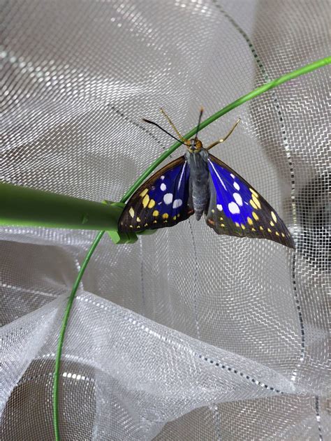 不動産登記法第69条の2の規定による抹消について☆ 司法書士講師・三枝りょうのブログ