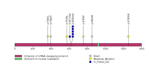 Mutation Analysis Mutsig 2cv V31