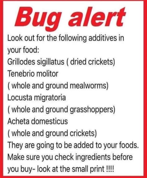 A Cowering Politician A Day Keeps Tyranny Away WEF States That We Will Eat Bugs Voluntarily Soon