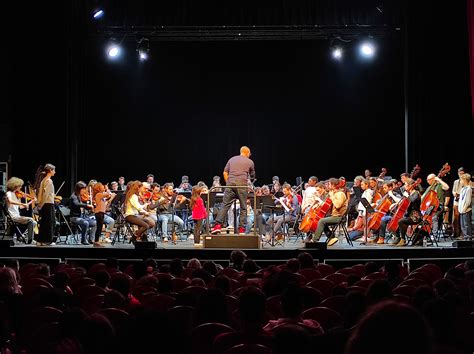 საშუალო სკოლის ორკესტრის ვიზიტი ლიონის საერთაშორისო სკოლა