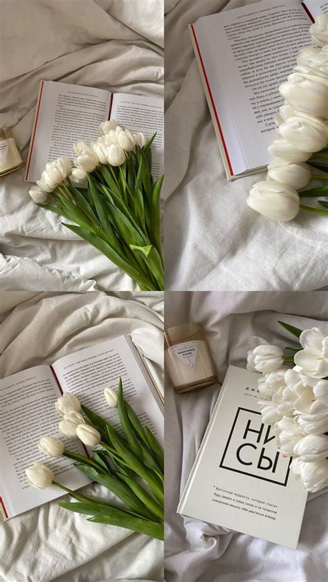 Эстетика цветы книги свечи T Wrapping Ts Wrap