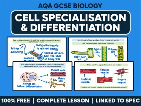 Gcse Aqa Biology Complete Lesson Cell Specialisation And
