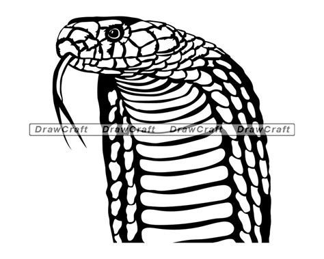 King Cobra Svg Snake Svg Cobra Mascot Svg Cobra Cut Files Etsy