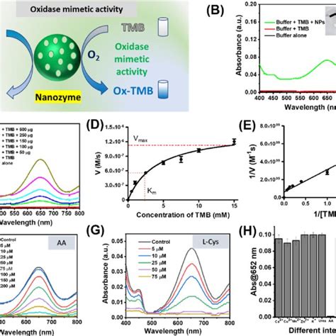 Enzyme Oxidase Mimetic And Sensing Properties Of Ce 2 Co 3 2 O·h 2 O Download Scientific