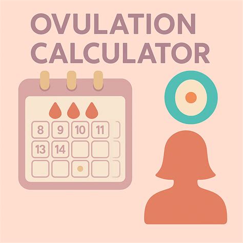 Ovulation Calculator Predict Fertile Days Ovulation Date