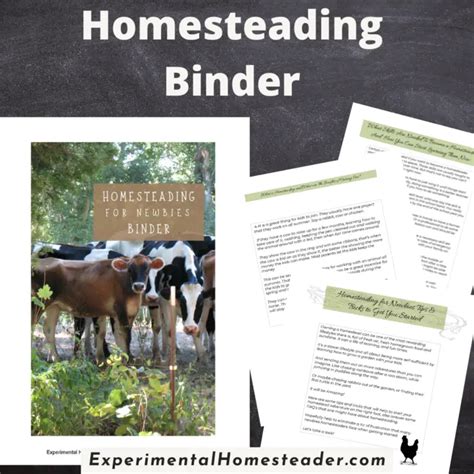 How To Start Freezing Goat Milk Experimental Homesteader