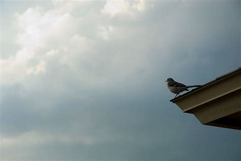 Testing Without Mocking Frameworks Rphp