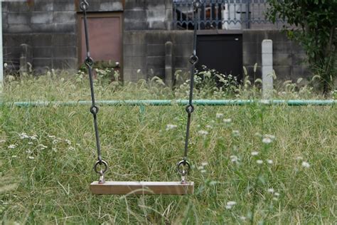 Plantas Que Crescem No Campo Foto Premium