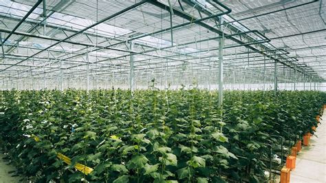 6 хувийн хүүтэй зээлд 6 иргэн 6 аж ахуйн нэгж хамрагджээ