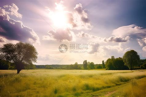 一片田野高清图片下载 正版图片600882554 摄图网