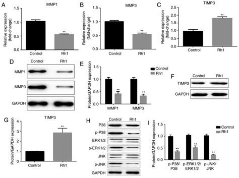 Ginsenoside Rh1 Inhibits Colorectal Cancer Cell Migration And Invasion