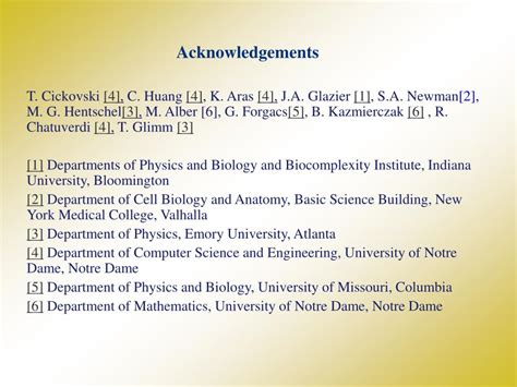 Ppt Three Dimensional Simulation Of Morphogenesis Powerpoint