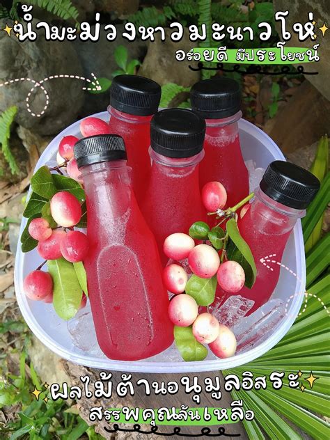 วิธีทำน้ำมะม่วงหาวมะนาวโห่ ผลไม้ดีมีประโยชน์💖😋👍 แกลเลอรีที่โพสต์โดย Xalien Smilex Lemon8