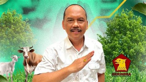 Profil Marija Calon Bupati Kulon Progo Yang Maju Pilkada 2024 Diusung