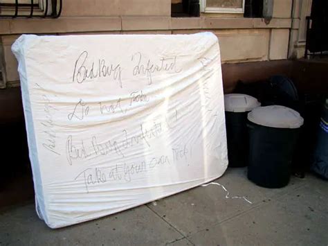 Bed Bug Stains On Sheets And Mattress Pest Control Tips And Advice