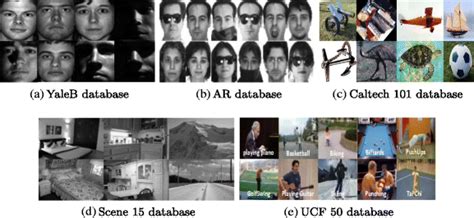 typical examples from five databases download scientific diagram