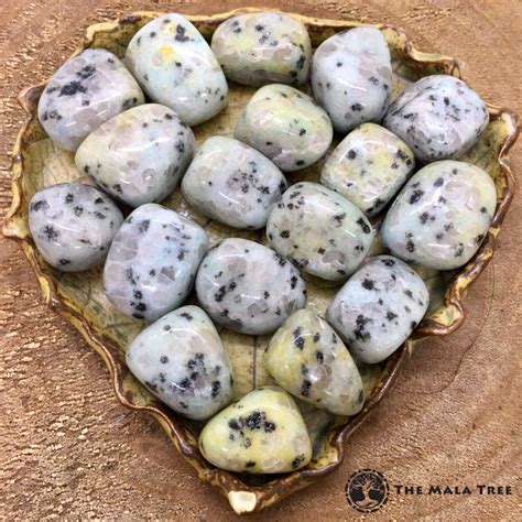 Sesame Jasper Kiwi Jasper Tumbled Stone The Mala Tree