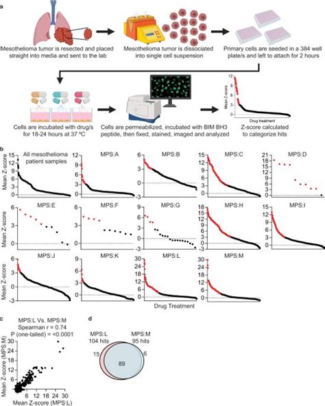 Keith Ligon On Linkedin Dynamic Bh3 Profiling Identifies Pro Apoptotic Drug Combinations For The…