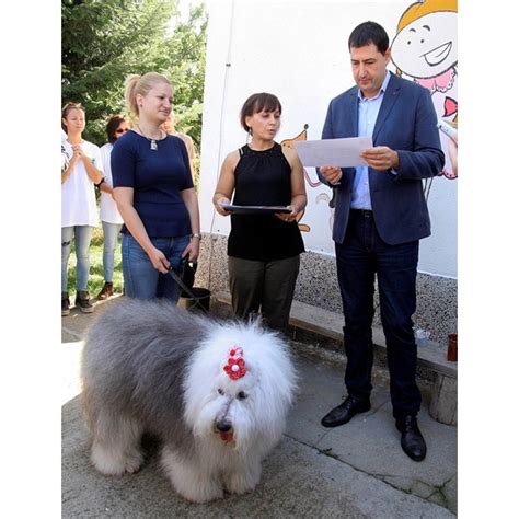 Куче шампион помага на болни от рак деца в Пловдив