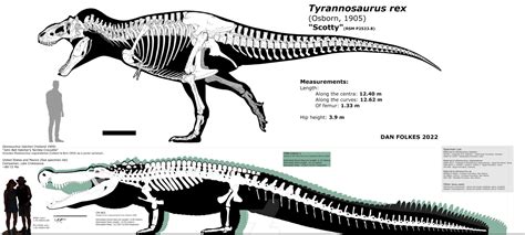 Deinosuchus Vs T Rex New Dinosaur Rhinorex Raises Cretaceous Quandary