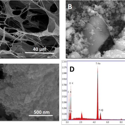 Xrd Patterns Of A Tempo Cnf And B Tempo Cnf Tio2 Nanocomposite