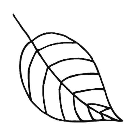 73 Clever Leaf Outlines Leaf Line Art Leaf Shapes