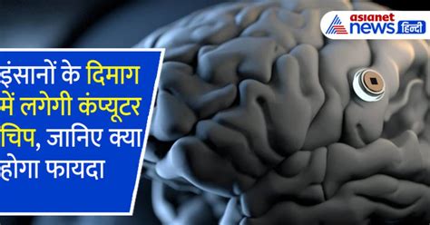 इंसानी दिमाग में लगाई जाएगी कंप्यूटर चिप जानिए कब पूरा होगा पहला