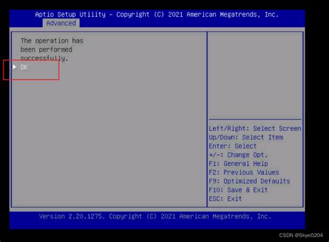 浪潮云物理机磁盘raidand安装操作系统浪潮服务器进入raid方法 Csdn博客