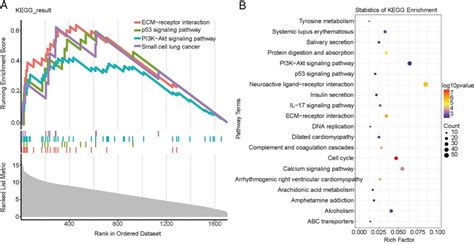 Potential Pathways Of Degs Between High And Low Risk Patients A The