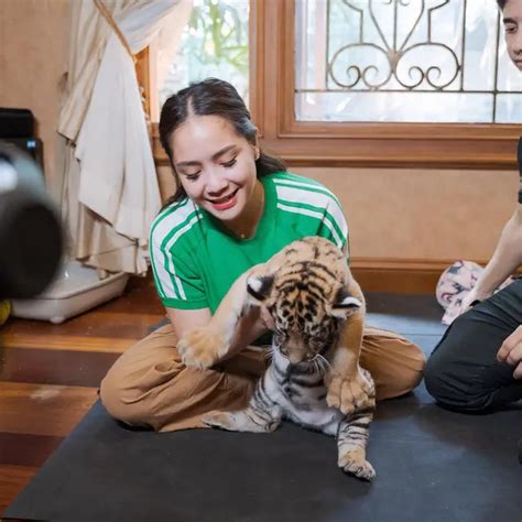 7 Potret Nagita Slavina Bareng Cipung Main Dengan Anak Harimau Ini